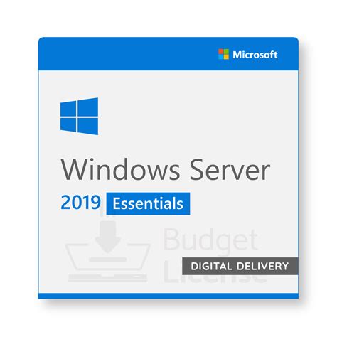Windows Server 2019 Essentials Digital Delivery Budgetlicense