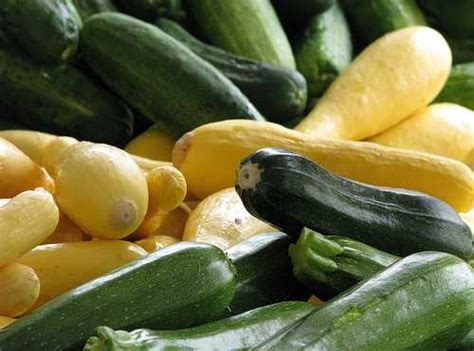 Cucumber Labeled Image Dataset Images Cv