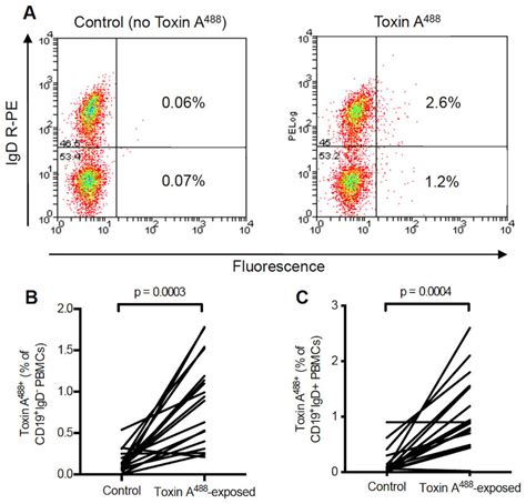 Circulating C Difficile Toxin A Specific Antigen Activated B Cells