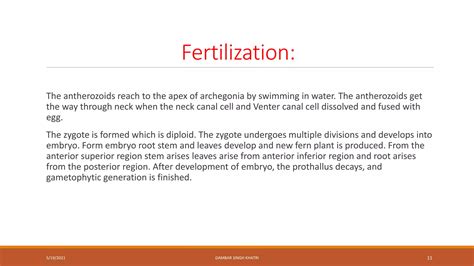 Pteridophyta Class 11 Biology Pptx