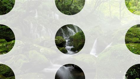 Cssで複雑な形も簡単設定！実務でも使えるclip Pathの基本形状と応用例を紹介｜フロントエンドクリップ