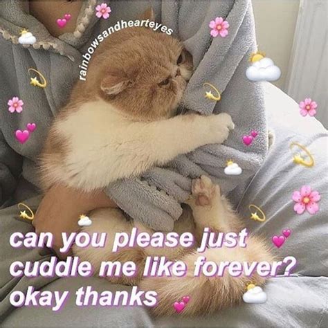 12 Cute Love Memes Ideas Cute Love Memes Love Memes Cute Love
