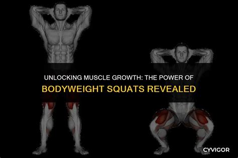 Unlocking Muscle Growth The Power Of Bodyweight Squats Revealed Cyvigor