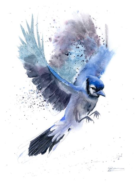 Flying Blue Jay Drawing Blue Jay Flying On White Premium Vector