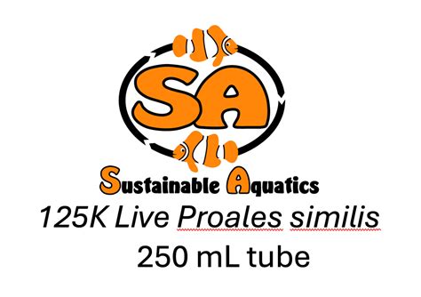 Live Proales Similis Rotifers