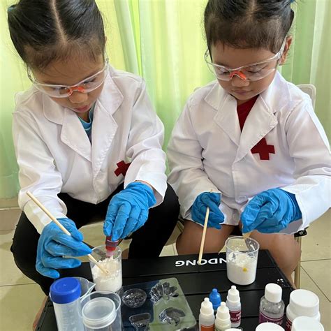 Science Project Kits Buy Online Canada Wide Shipping