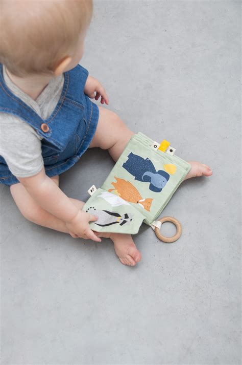 Trixie Soft Book De Kikkerkoning