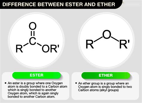 Difference Between Ester And Ether Organic Chemical Compounds