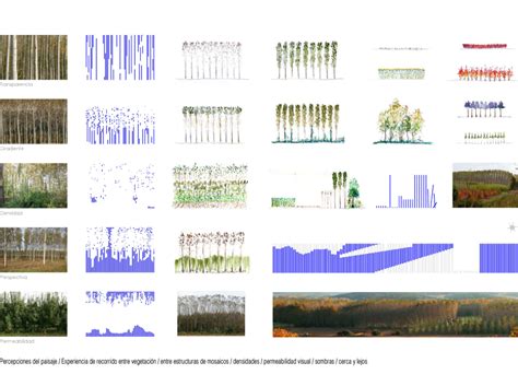 Landscape And Visual Impact Assessment Melissa Alagna Landscape