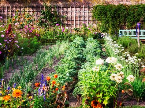 Best Flowers To Plant With Vegetables Gardening Know How