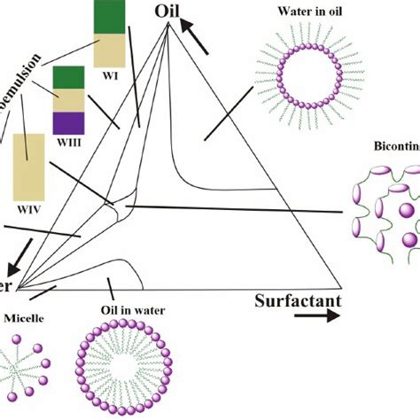 The Surfactant Aggregate Structure For Critical Packing Parameters From Download Scientific