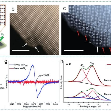 Schematic Illustration For The Electrocatalytic Water Splitting Download Scientific Diagram
