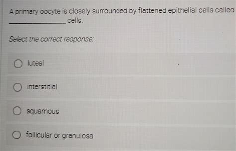 Solved A Primary Oocyte Is Closely Surrounded By Flattened