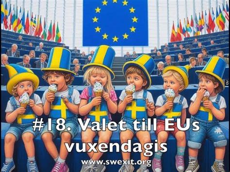 Eva Larson On Linkedin 18 Valet Till Eus Vuxendagis