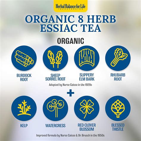 Herbal Balance For Life Organic Essiac Tea 8 Herb Blend 16 Packs 128
