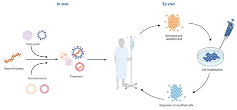 Gene Therapy Process Gene Therapies Must Become Miracles Of Medicine