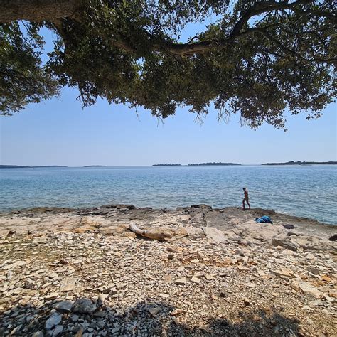 Brijuni The Paradise Islands Of Tito Travel Tomorrow