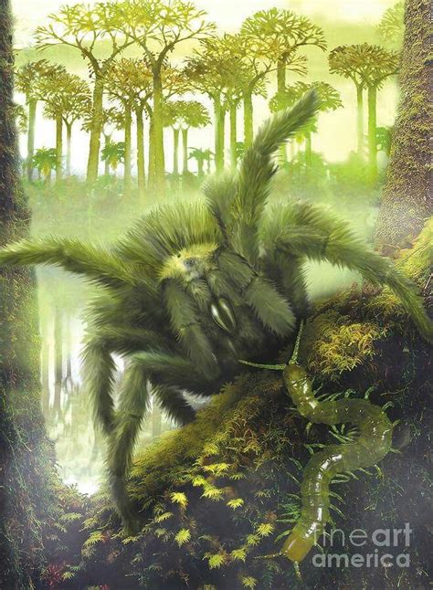 Megarachne Spider Artwork By Jan Sovak High Quality Art Prints