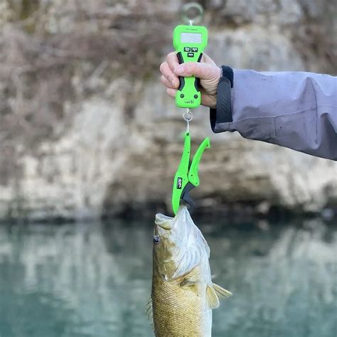 Tackle Hd Digital Fish Scale With Gripper Water Resistant Fishing