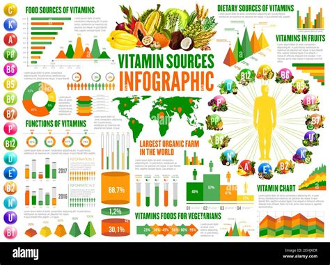 Vitamin Function Chart