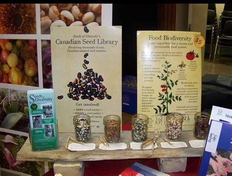 For Seeds Of Diversity Volunteers Seeds Of Diversity