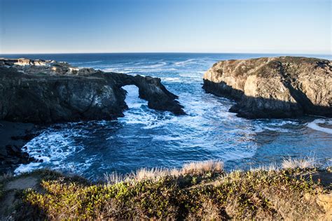 14 Affordable West Coast Whale Watching Destinations