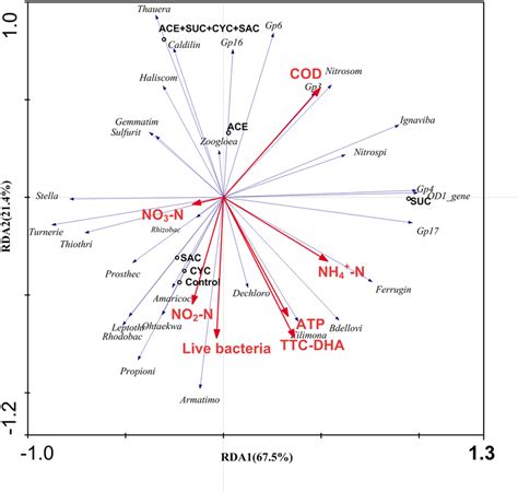 Rda Of Microbial Activity And Microbial Community In Relation To Download Scientific Diagram