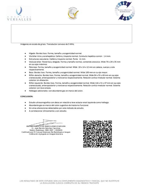 233 Pdf