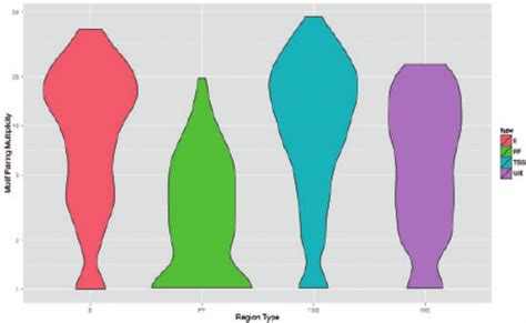 Violin Plot On The Motif Pairing Multiplicity Of The DNA Motifs Sorted Download Scientific