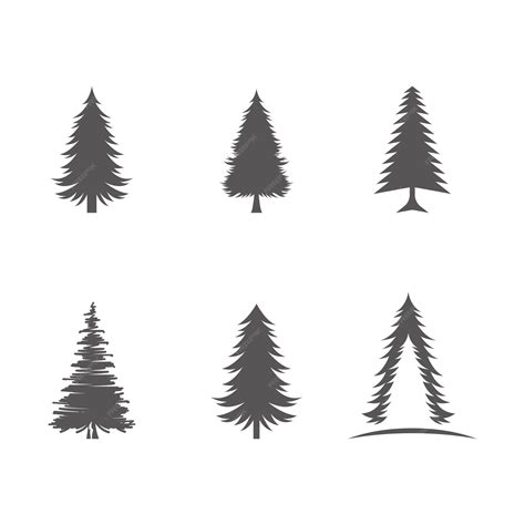 Premium Vector Cedar Tree Vector Icon Illustration Design Template