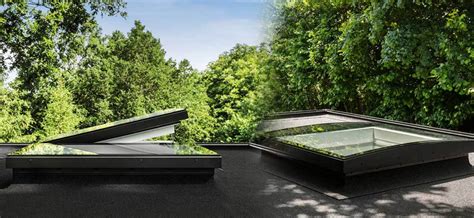 Different Types Of Flat Roof Windows And Domes Ultimate Guide