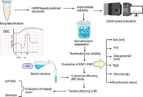 Illustrative Presentation Of The Experimental Design To Complete The Download Scientific