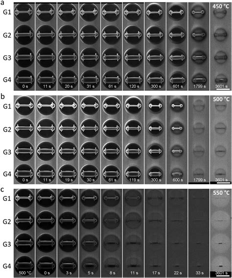 The Evolution Of 3d Printed Ip Dip Microstruts Upon Isothermal