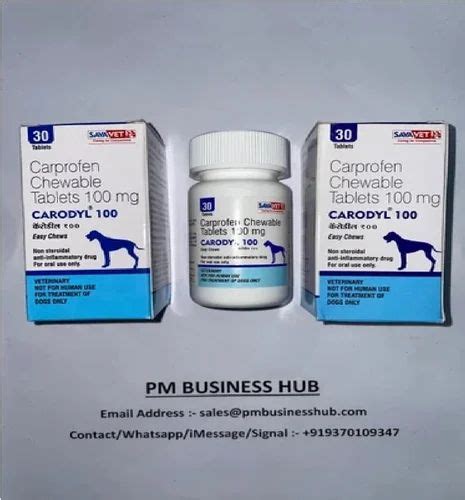 Carprofen Chewable Tablets 100 mg, Savavet at ₹ 2500 in Nagpur | ID ...