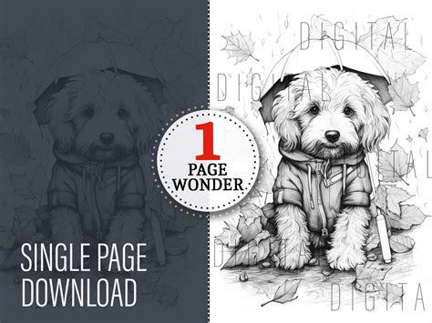 Cockapoo Coloring Pages 2025