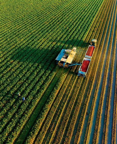 California Central Valley Agriculture Land Of A Billion Vegetables