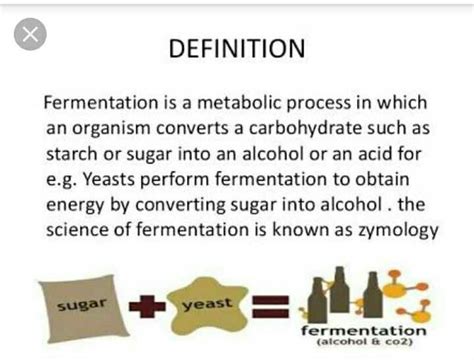 Define Fermentation Edurev Class 10 Question
