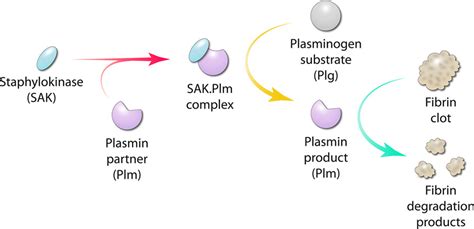 Plasminogen