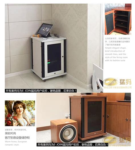E Join猛犸机柜e3 J580h专业家庭影院设备储存柜网络服务器机柜实木板材定制 黑胡桃 570600600mm 投影幕 青岛艾斯卡影音设备有限公司