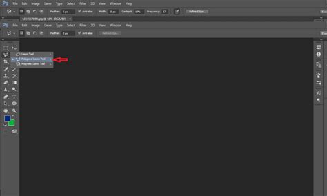How To Use Lasso Tool In Photoshop In Most Detail