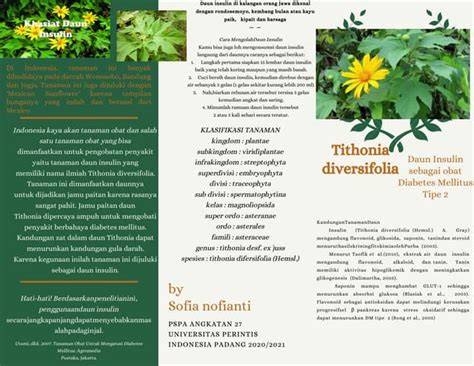 Flayer Fitoterapi Daun Insulin Tithonia Diversifolia Pdf