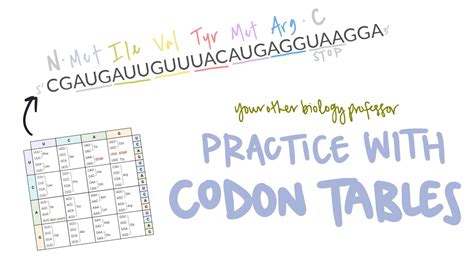 Unlock The Code Practice Using A Codon Table Youtube