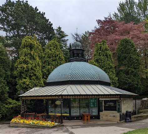 Lins Doodles Photo Challenges Artwork