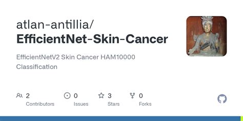 Github Atlan Antilliaefficientnet Skin Cancer Efficientnetv2 Skin