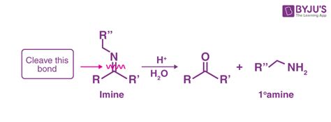 Imine Hydrolysis An Overview Of Imines And Imine Hydrolysis Along
