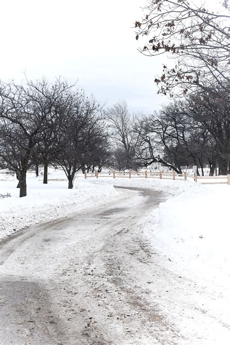 Chicago Lakefront In Winter Montrose Beach It All Started With Paint