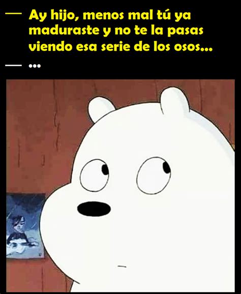 Memes Del Oso