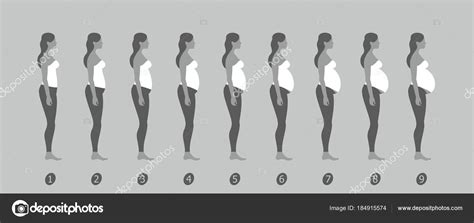 Pregnancy Progression Throughout Body