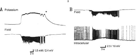 Figure 21 From Origination And Propagation Of Reaction Diffusion Waves