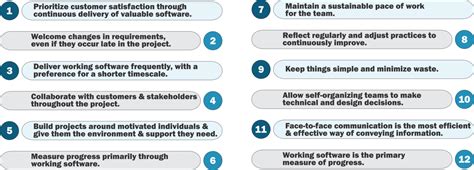 Agile Methodology Principles And Values SEED Infotech Is Leading IT Training Institute In India